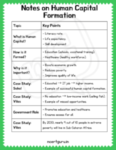 Human Capital Formation: Summary and Notes Class 9 Economics - NCERT guru
