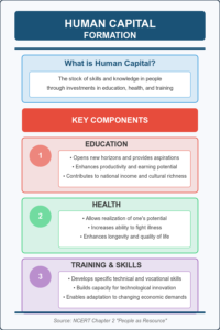 Human Capital Formation: Summary and Notes Class 9 Economics - NCERT guru